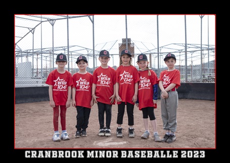 Cranbrook Minor Ball Association : Website by RAMP InterActive